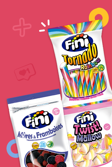 The Fini Company France - The Fini Company